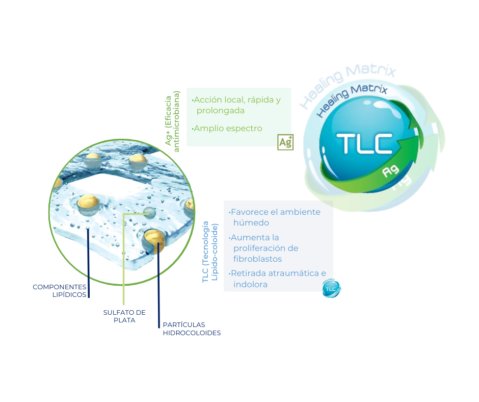 Tecnología TLC-Ag | Urgo Medical